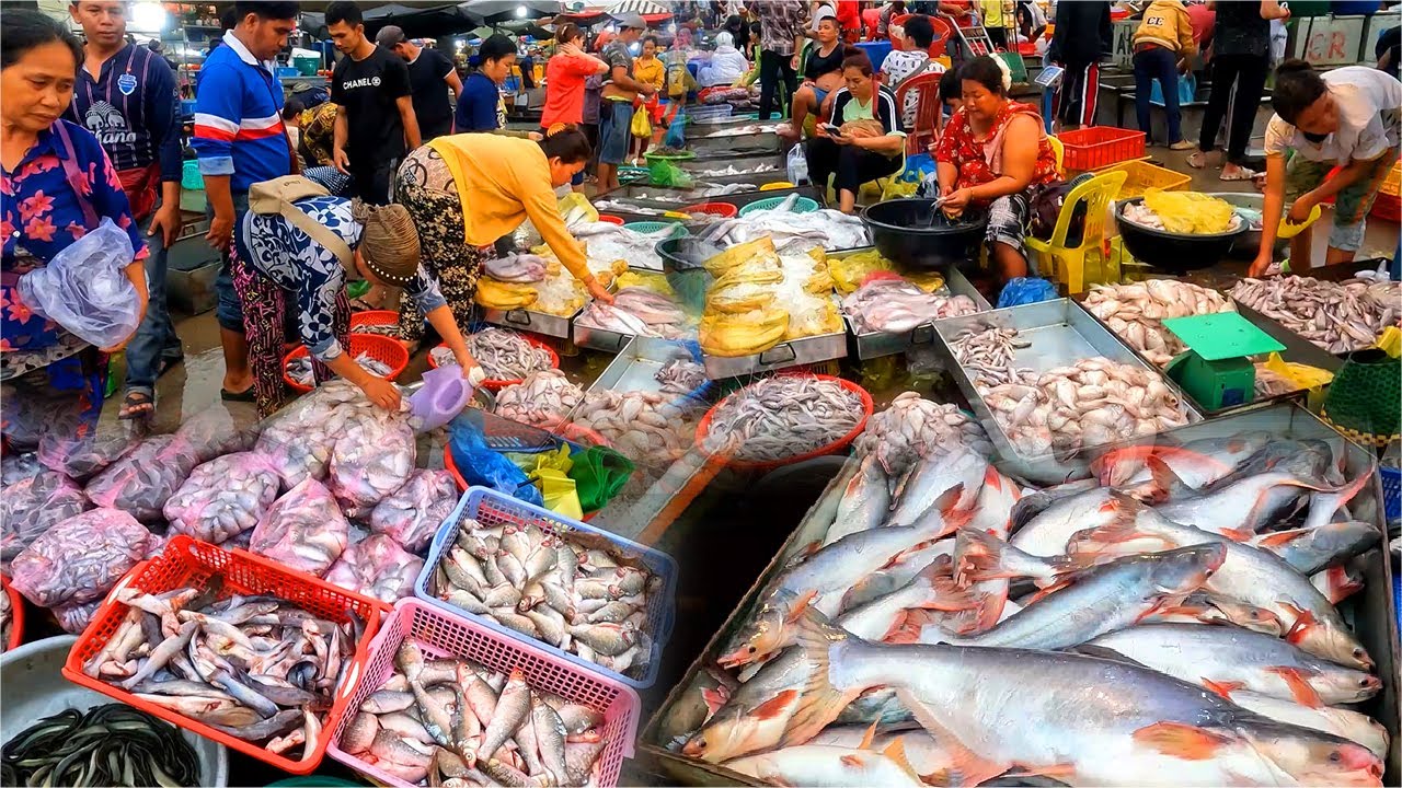 Fish Market. Location Huge Supply of Cambodian Fresh Fish Market ...