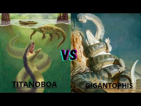Gigantophis verses Titanoboa - YouTube