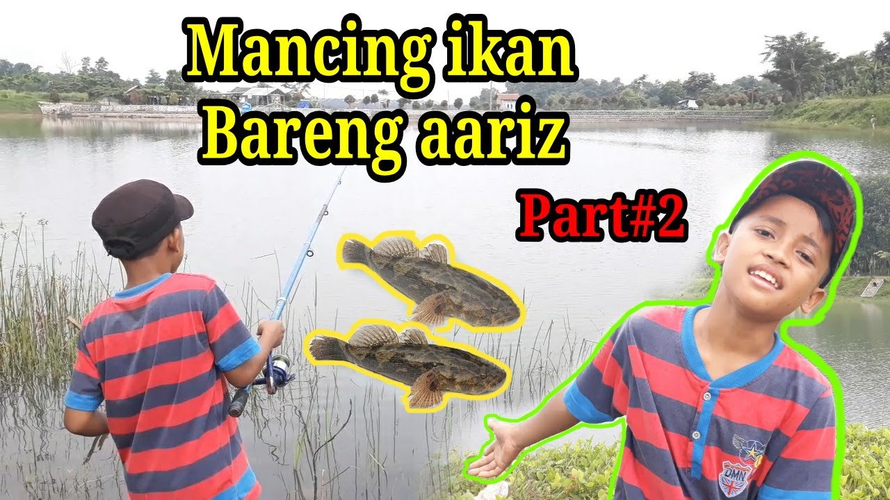 Mancing bareng aariz part 2 - YouTube