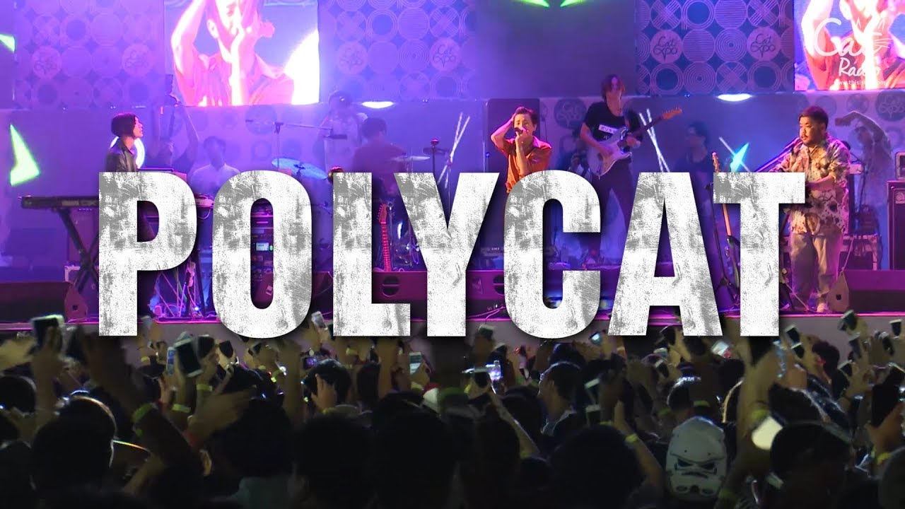 POLYCAT @CAT EXPO#4 - YouTube