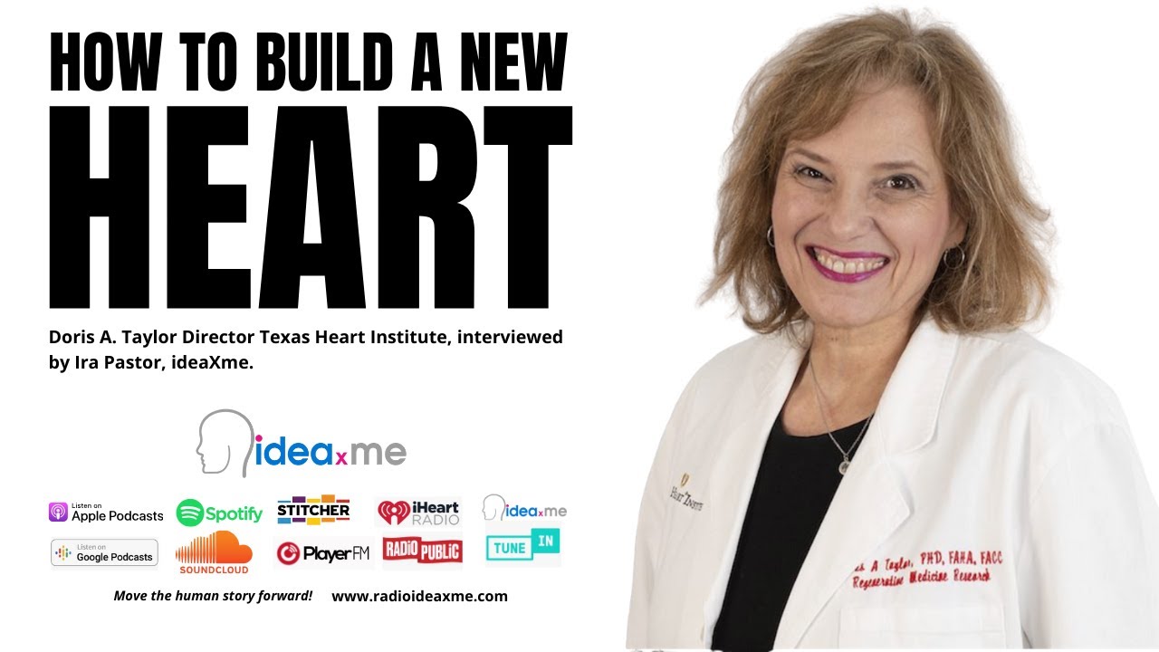 How to Build a New Heart - YouTube