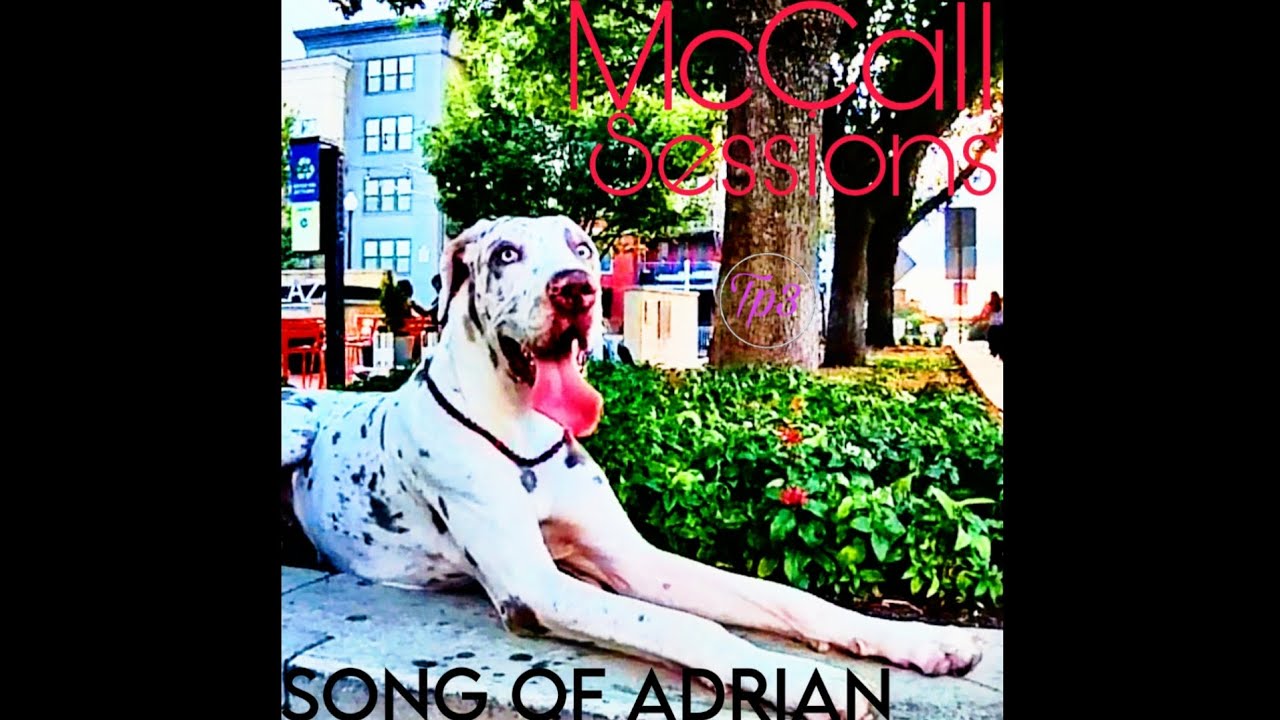 SONG OF ADRIAN -McCall Sessions- DOWNTOWN HISTORIC PLANO TEXAS - YouTube