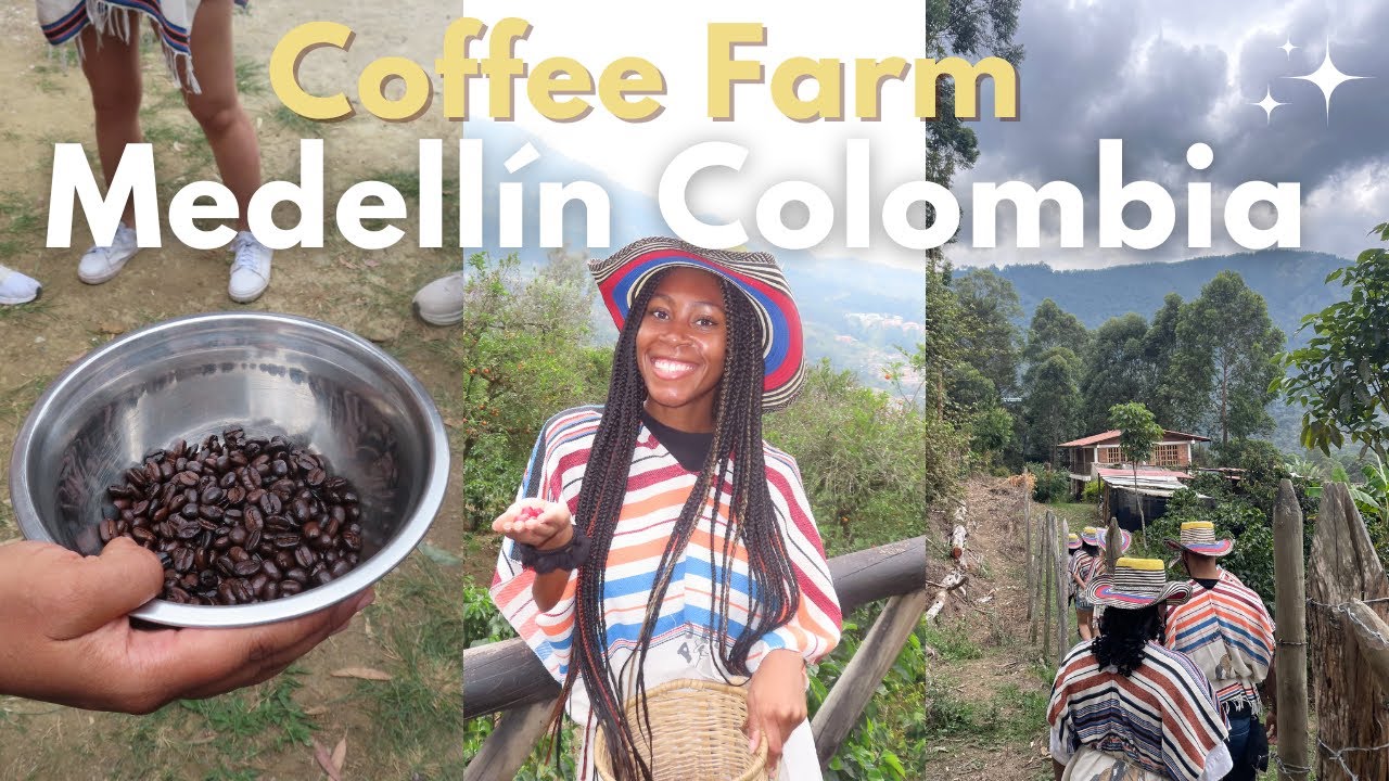 Coffee Farm in Medellín Colombia ☕️ 🌾 | Process of Coffee Making - YouTube