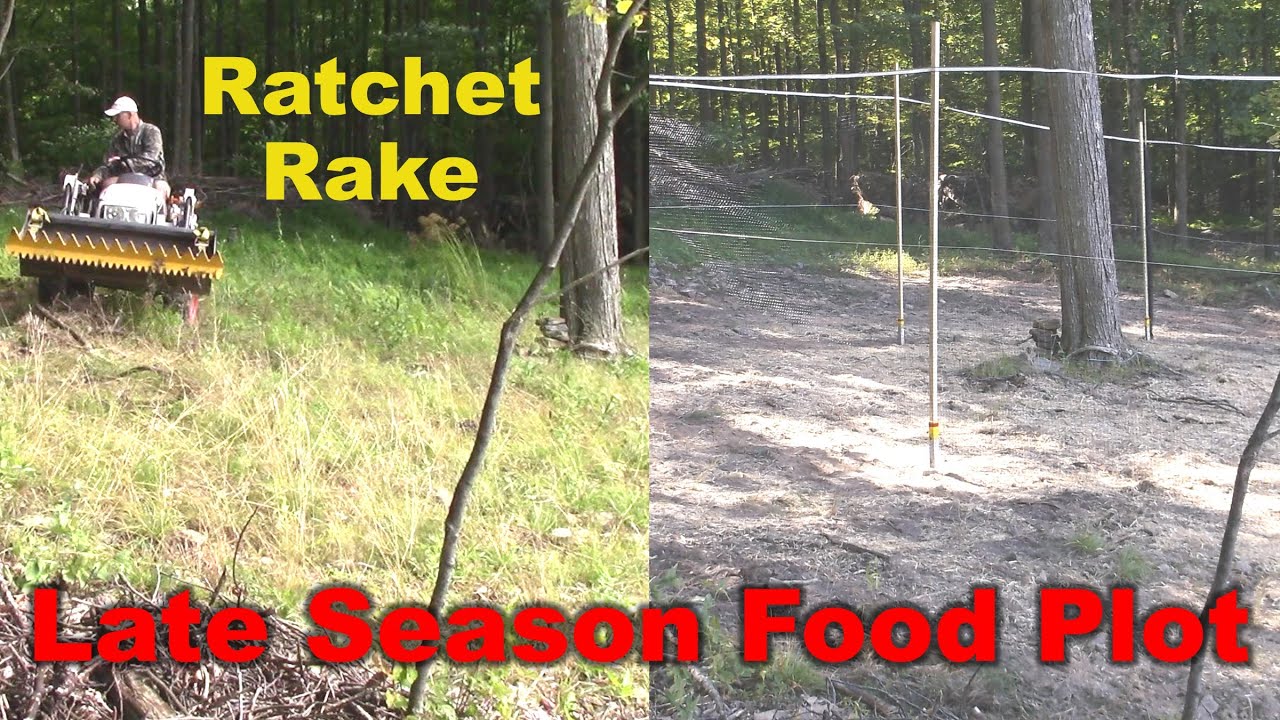 Mini Food Plot with Tractor Rake #foodplots #ratchetrake #tractorake ...