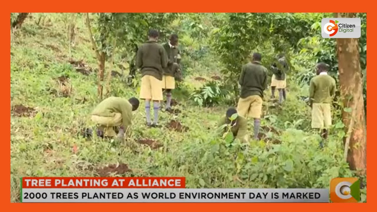 Over 2000 trees planted at Alliance High School as world marks ...