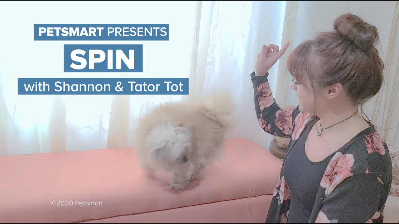 PetSmart Presents: Teach Your Dog to “Spin” - YouTube