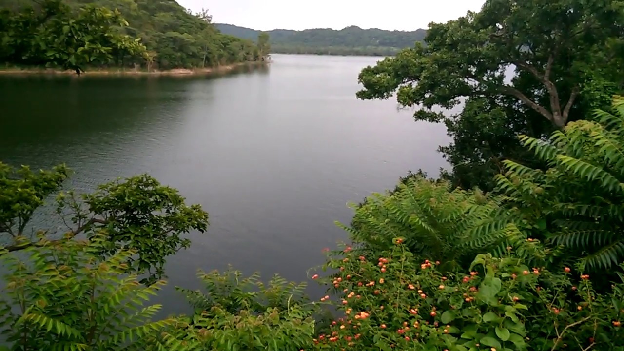 Grace Mugabe loses Mazowe Citrus and Dam to Interfresh Ltd - YouTube