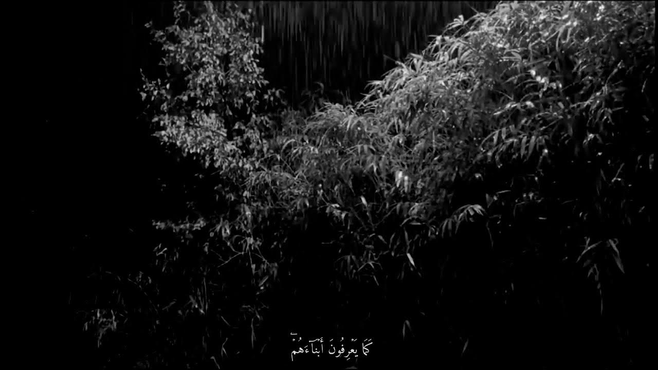 الذين اتيناهم الكتاب يعرفونه كما يعرفون أبنائهم 💚🌿 Youtube
