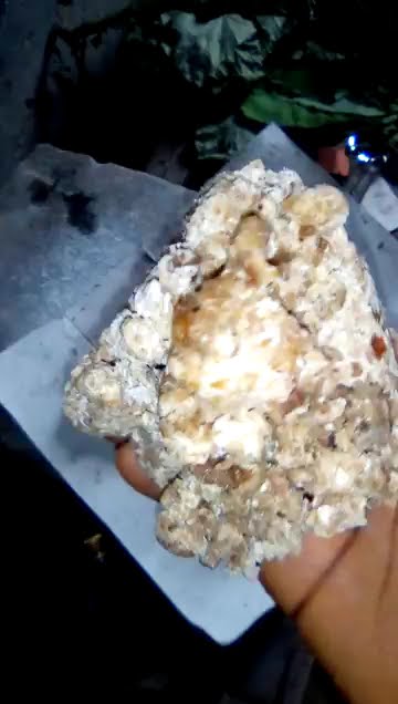 OSE OSOLE OWO NLA - YouTube