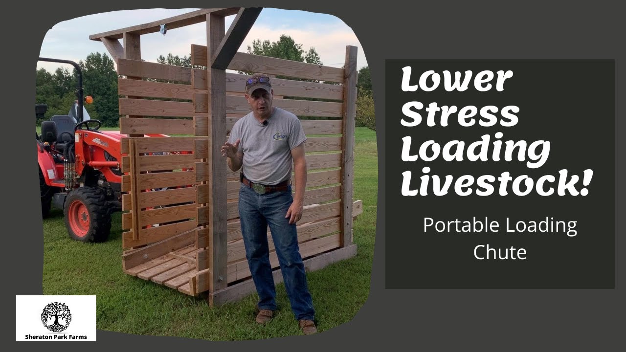 Portable Livestock Loading Chute - Pastured Pigs, Sheep, Goats and a ...