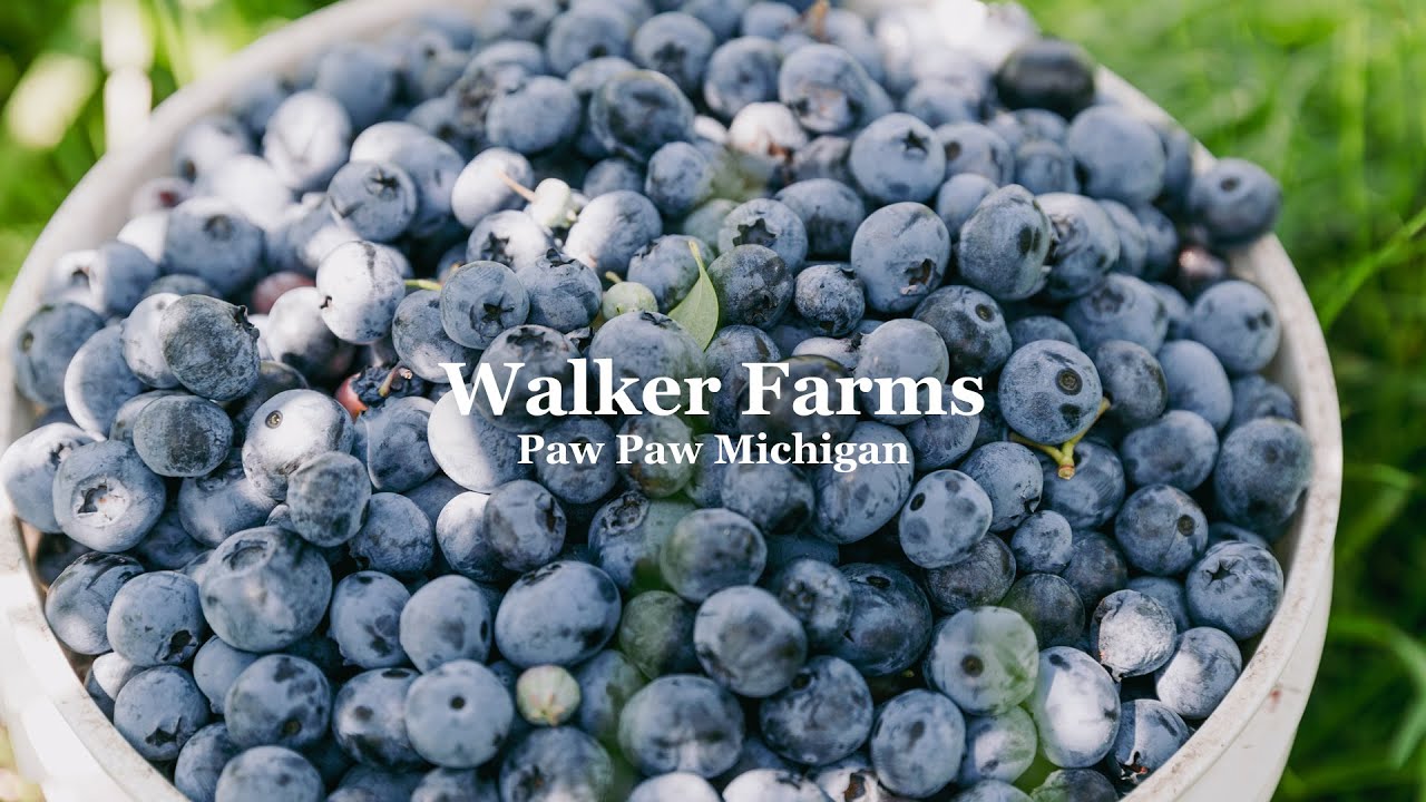 Walker Farms | Tree-Ripe Fruit Co. - YouTube