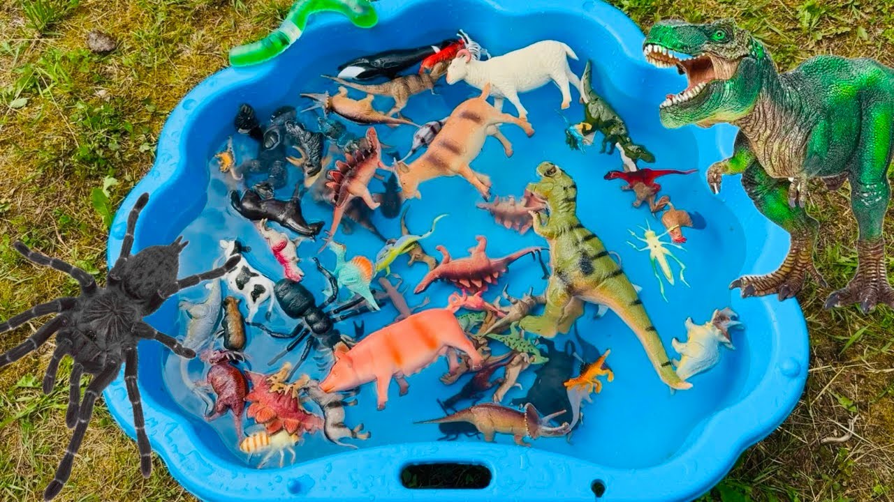 Apprendre le nom des animaux en s’amusant | Les animaux en français ...