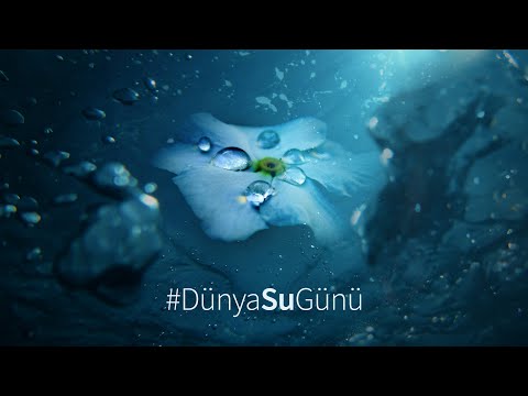 Dünya Su Günü