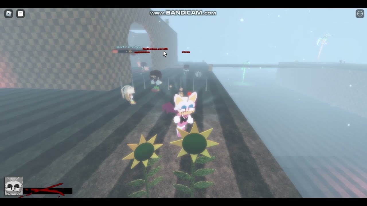 Sonic.exe survival as Rouge - YouTube