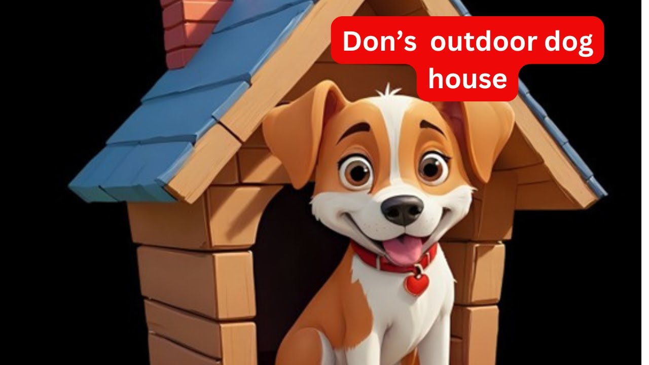 Animated Fun at Don's Dog Kennel – A Must-Watch for Dog Lovers! - YouTube