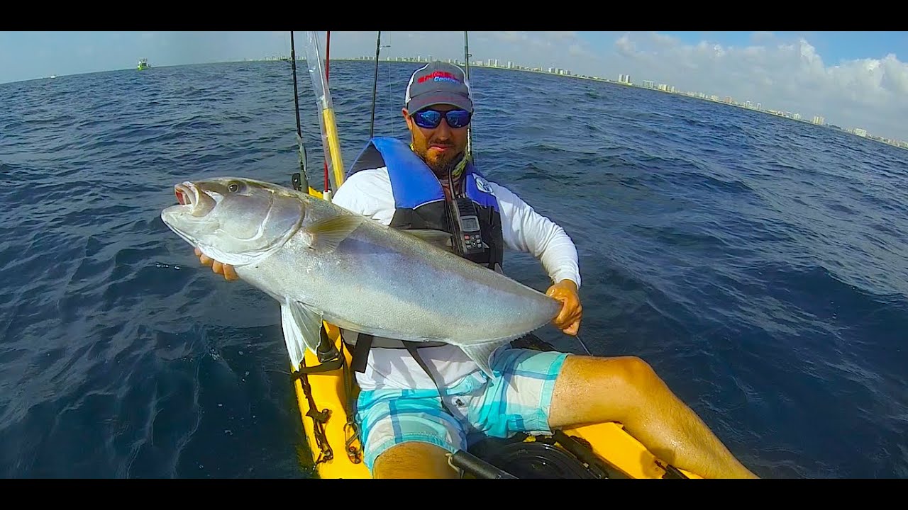 Huge Amberjack and big Kingfish, Kayak Fishing Zone - YouTube