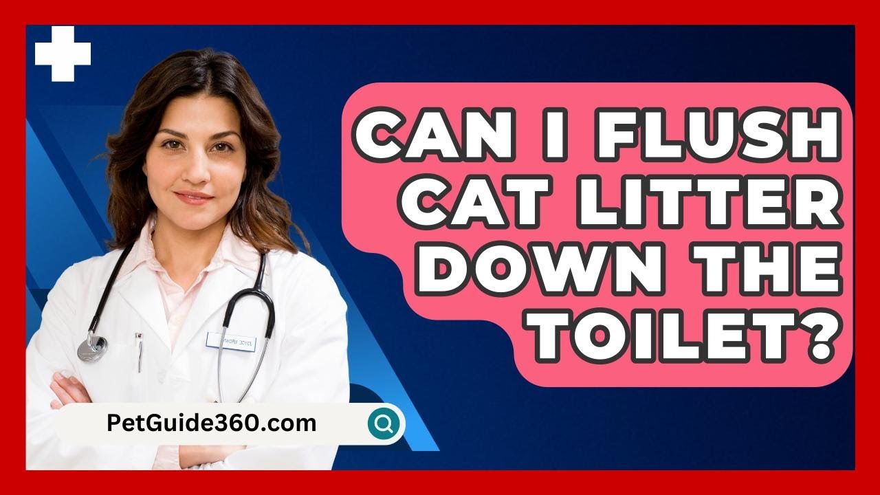 Can I Flush Cat Litter Down The Toilet? - PetGuide360.com - YouTube