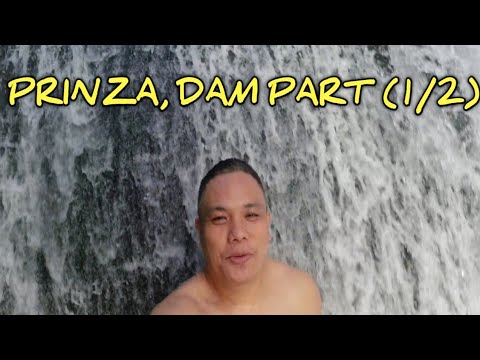 Swimming in the Serene Waters of Calauan Laguna's Prinza Dam ...
