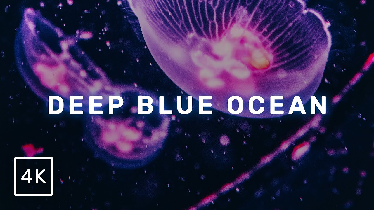 Get Ready to Transcend With Deep Sea Ocean Sounds, Blue Noise for ...