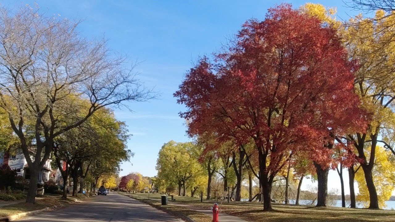 Law Park to Olbrich Park along the Monona Lake Loop - YouTube