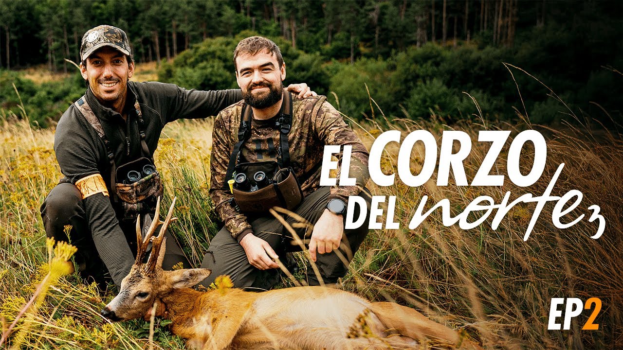 Ep. 2 El corzo del norte | El celo del corzo francés (Temporada 2 ...