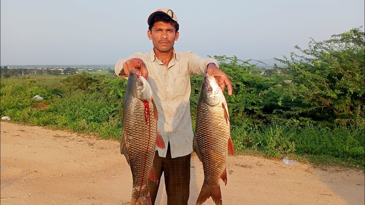 Rahu fishing technique ||sing ka shikar|| 3 hook fishing|| carp fishing ...