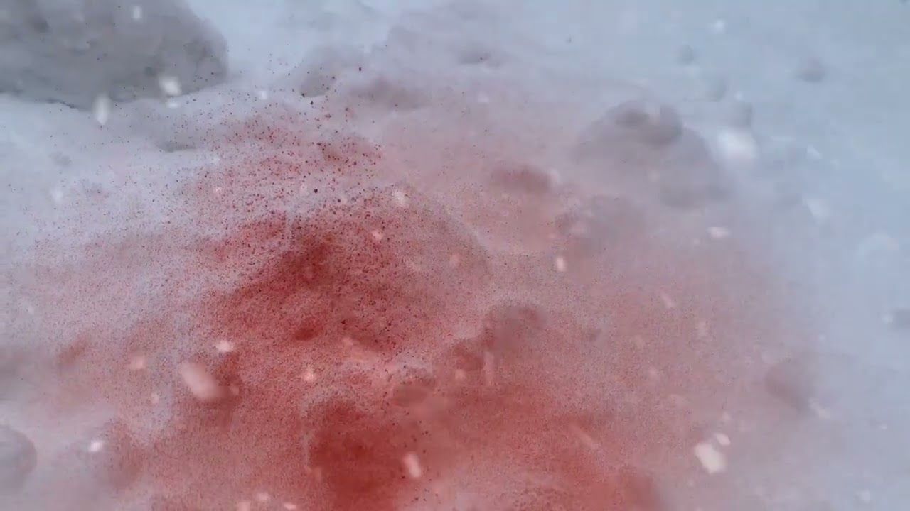 Snow Beast: Blood Massacre (2025)