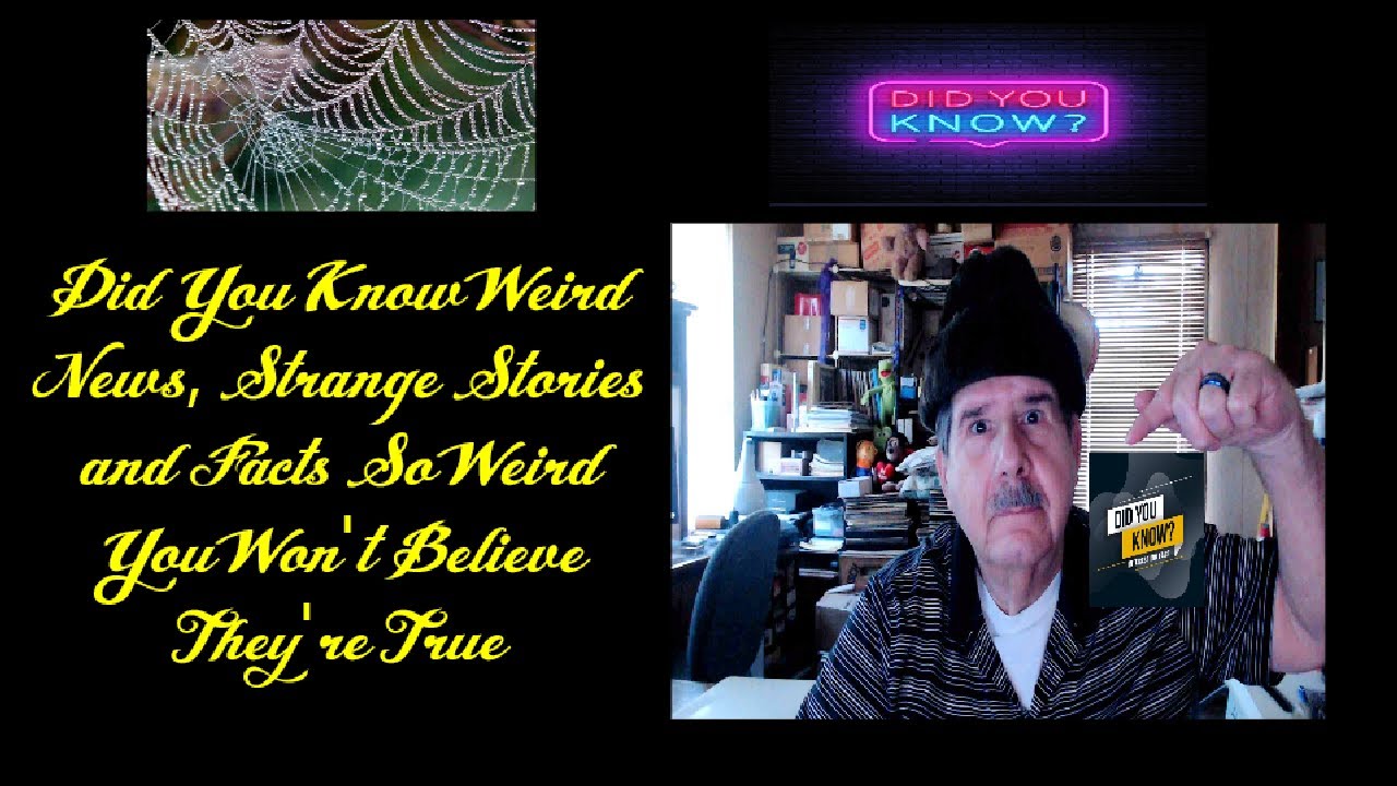 Did You Know Weird News, Strange Stories and Facts So Weird You Won't ...