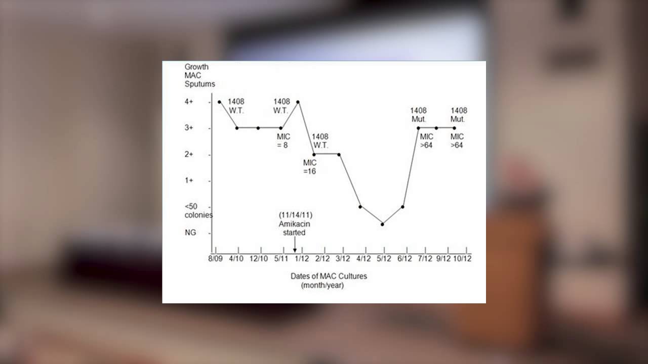 Wallace Presentation 2 - YouTube