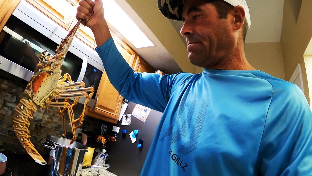 FLORIDA SPINY LOBSTER MINI SEASON in the GULF Catch/Clean/Cook. - YouTube