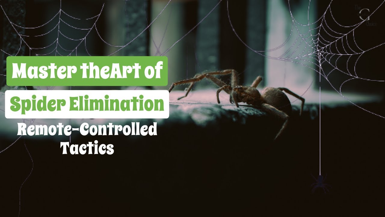 Spider Control: Eliminate Spiders Safely and From Afar – No Close ...