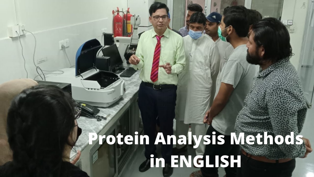 Protein Analysis Methods in English - YouTube