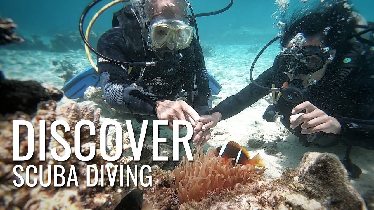Discover Scuba Diving - YouTube