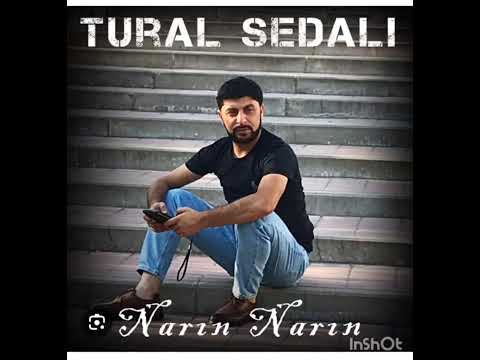 Tural Sedali yarim menim yarimdi cover 
