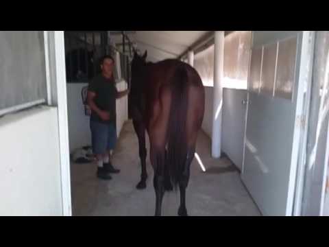 Siros arriving at quarantine facility in PR