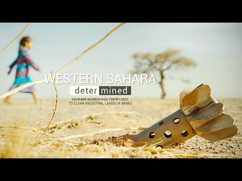 Western Sahara Determined | Sahrawi Women Risk Their Lives to Clear Ancestral Lands of Mines