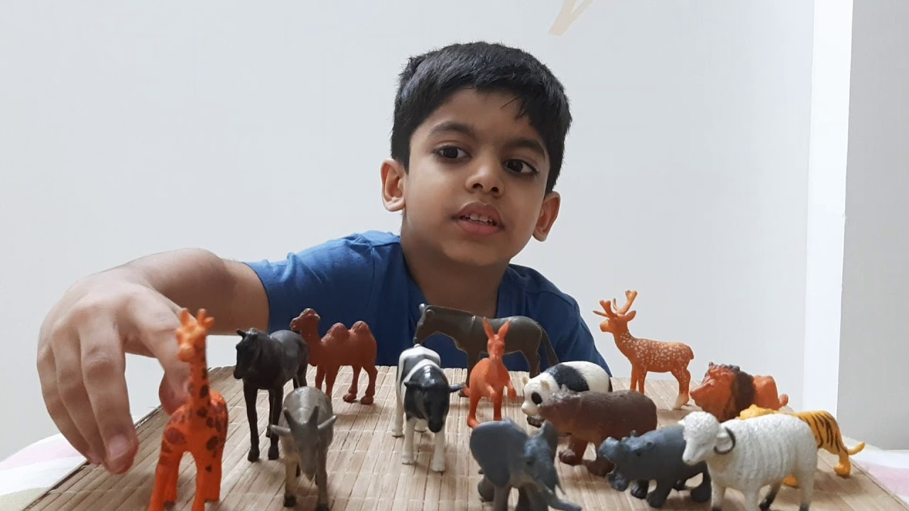 Animals/kid/explaining - YouTube