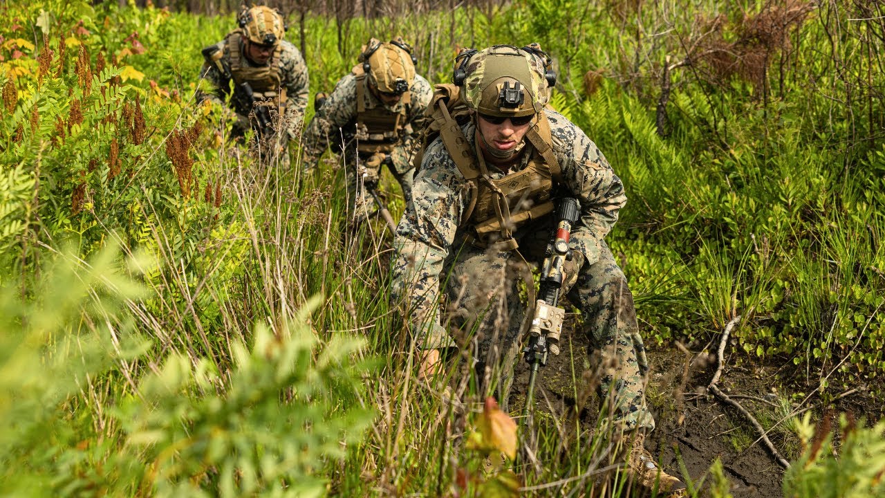US Marines Push the Limit | 2/6 Executes Live Fire Leadership Combat ...