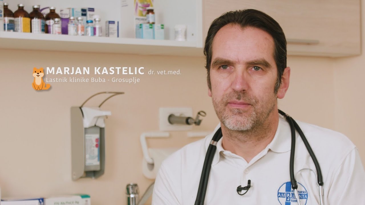 Prehranska dopolnila za živali? Dr. vet. med. Marjan Kastelic o ...