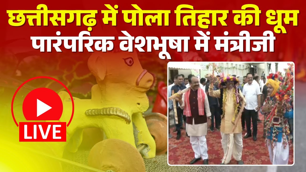 🔴Teeja Pola 2025 Chhattisgarh : छत्तीसगढ़ में पोला तिहार की धूम ...