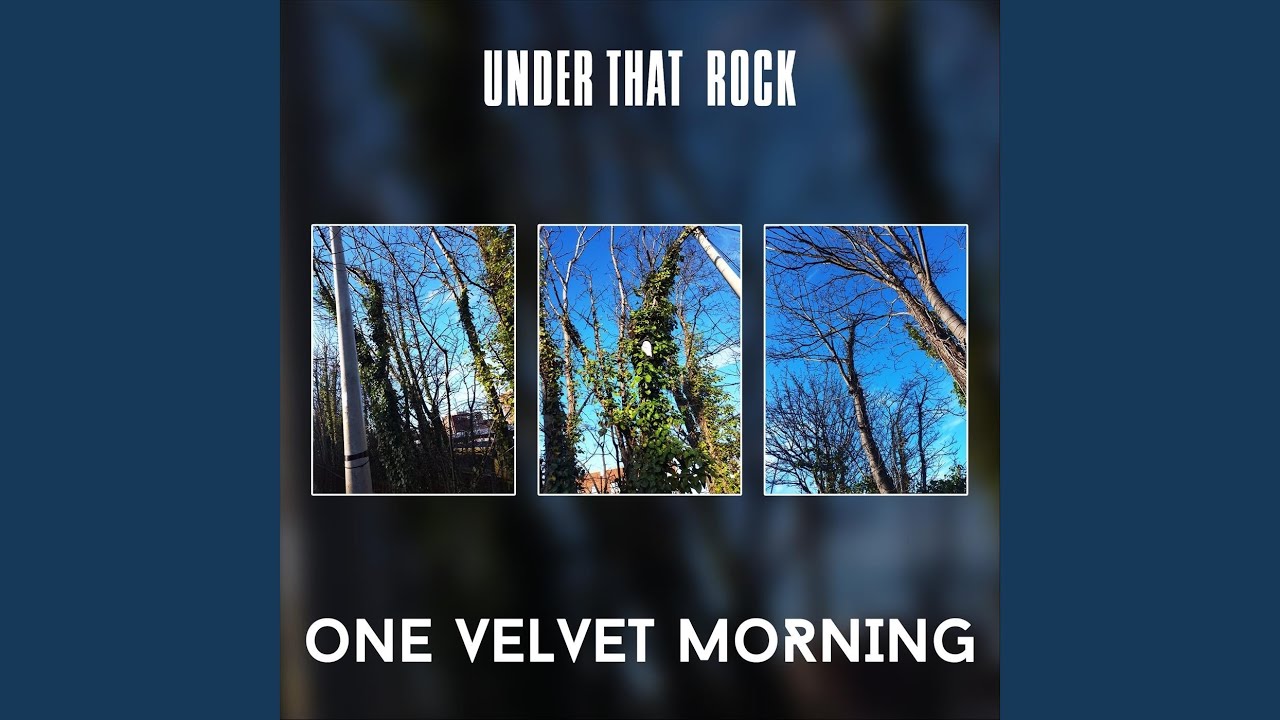 One Velvet Morning - YouTube