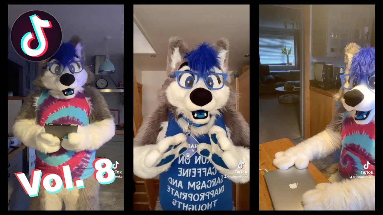 Harry Does TikTok - Vol. 8 - YouTube