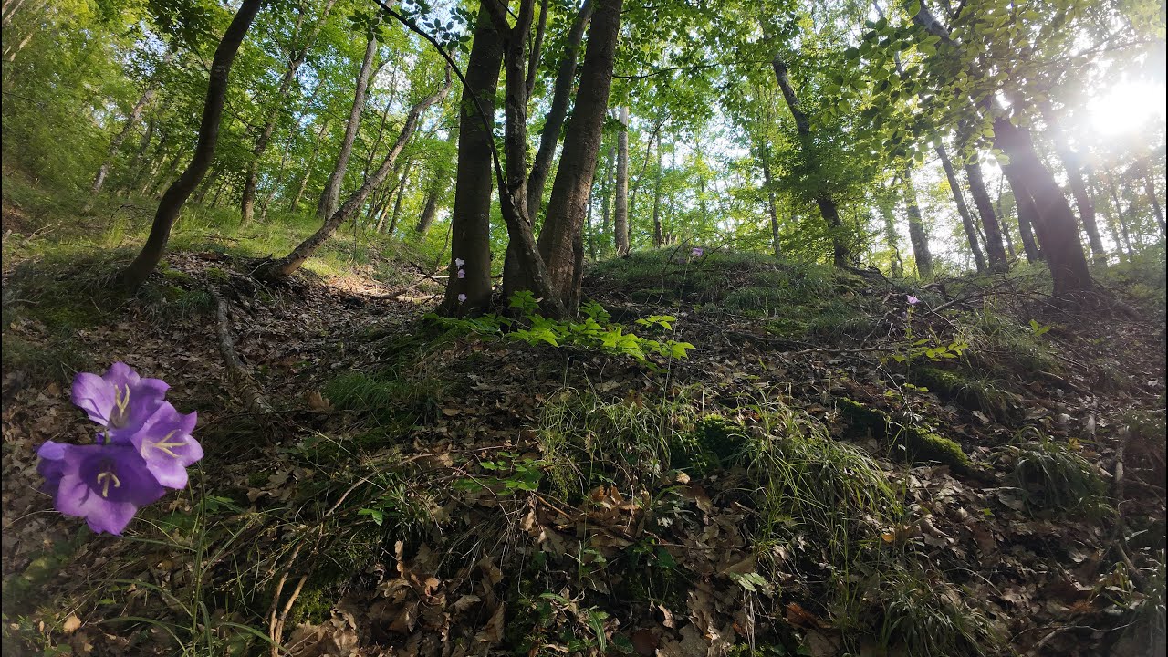 Testing the new Shimano Cues drive system 30.05.2024 - YouTube