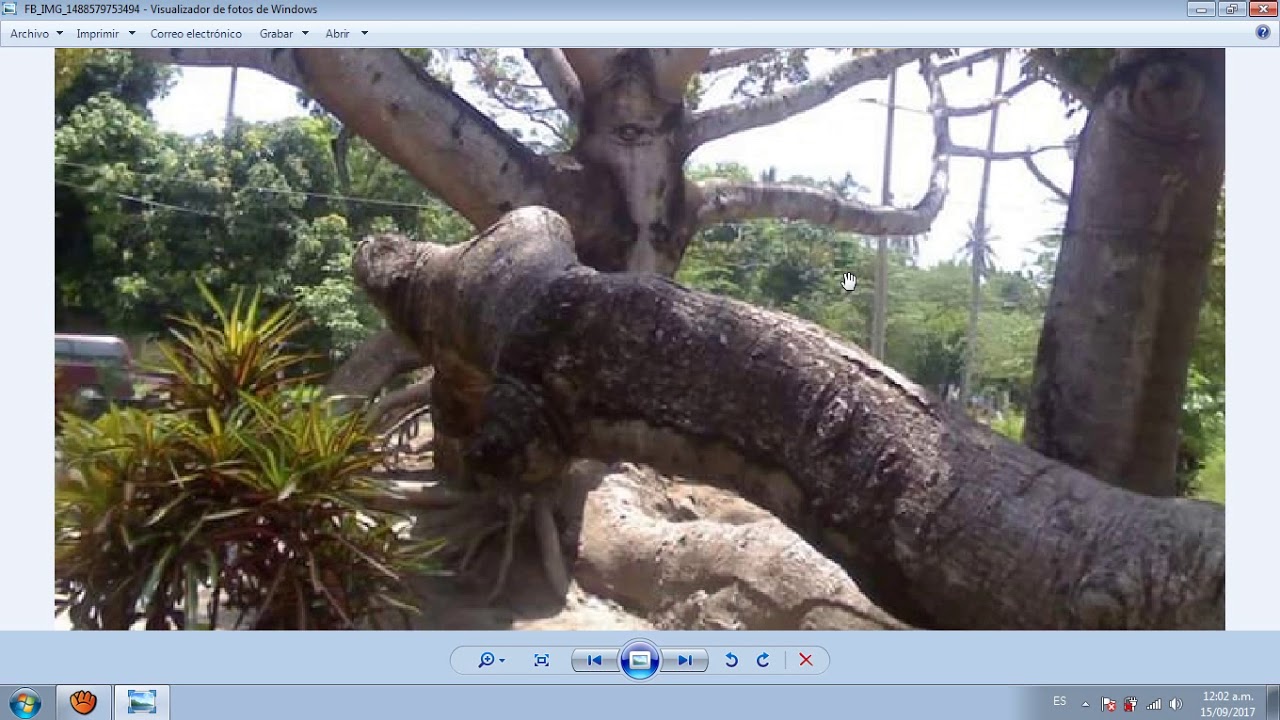 Fotos extrañas Ciudad Cardel, Veracruz - YouTube