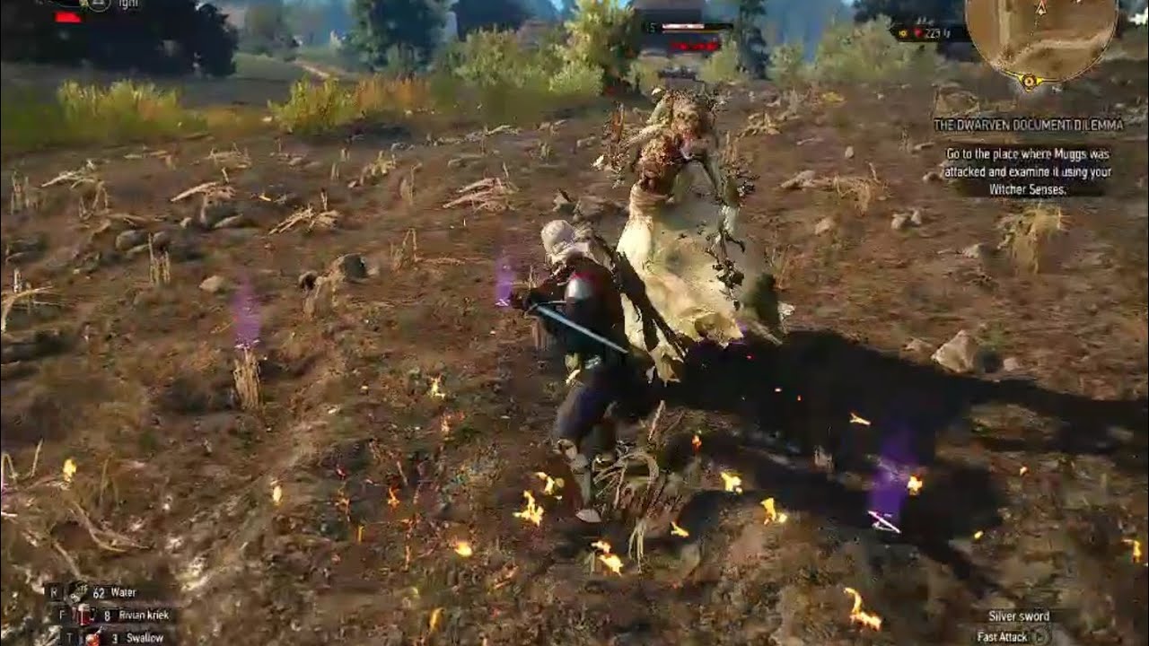 Fight with Noonwraith (The Witcher 3 Wild Hunt) - YouTube
