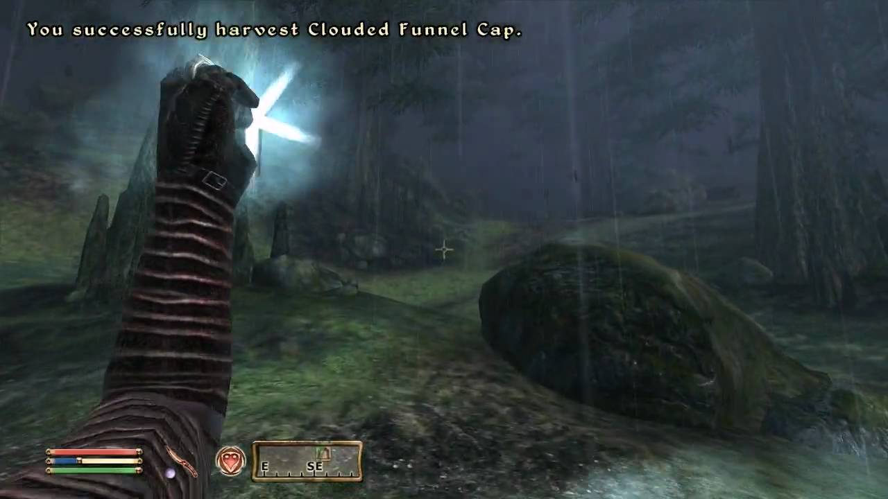 HD Oblivion Walkthrough - DB side quest The Renegade Shadowscale - YouTube