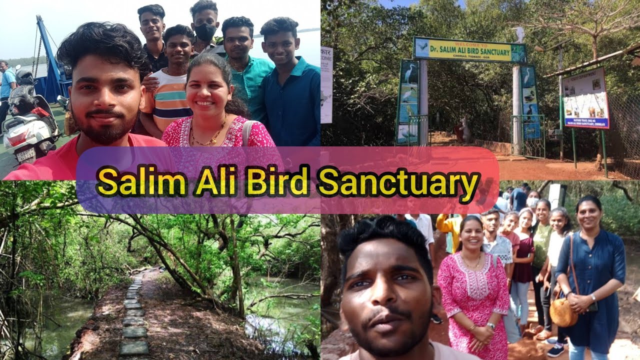 Visit to Dr. Salim Ali Bird Sanctuary At Charoa #goa #island - YouTube