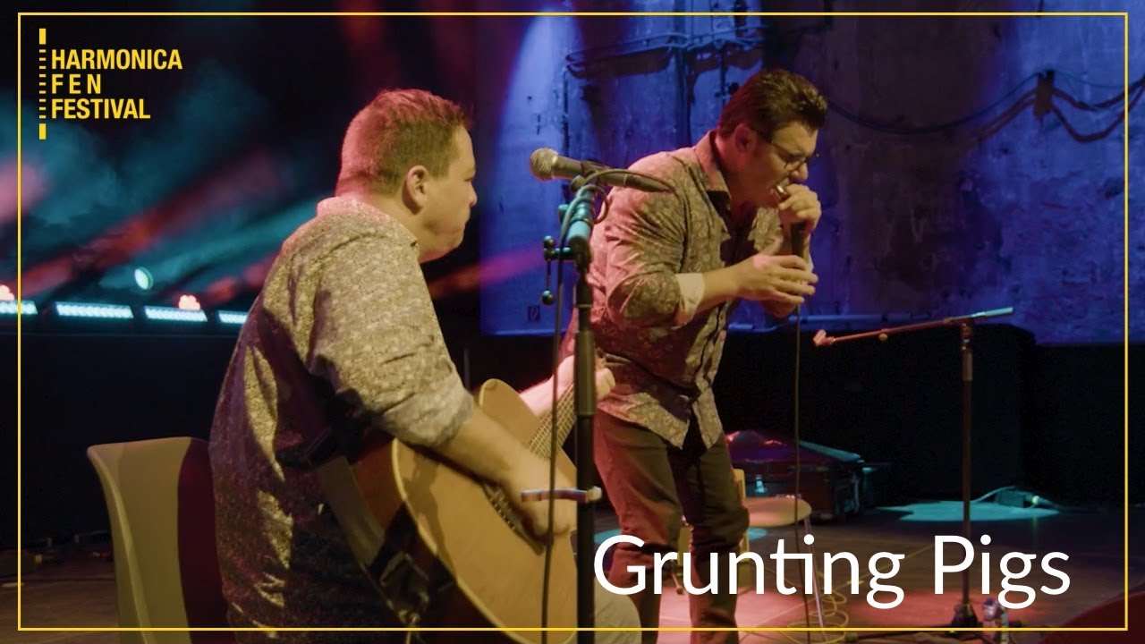 The Grunting Pigs – It's not easy (Official Video HARMONICA F E N ...