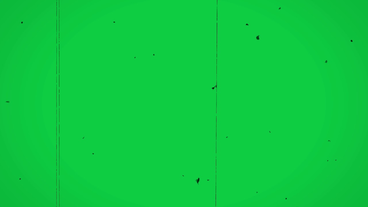 Old Film Dust & Scratches | Green Screen | old film grain overlay ...
