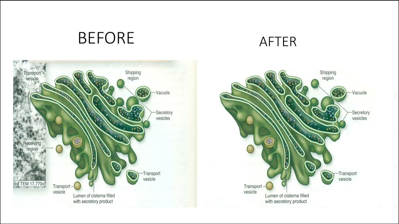 How To Cut Unwanted Parts Of An Image Paint 3D YouTube how-to-cut-unwanted-parts-of-an-image-paint-3d-youtube